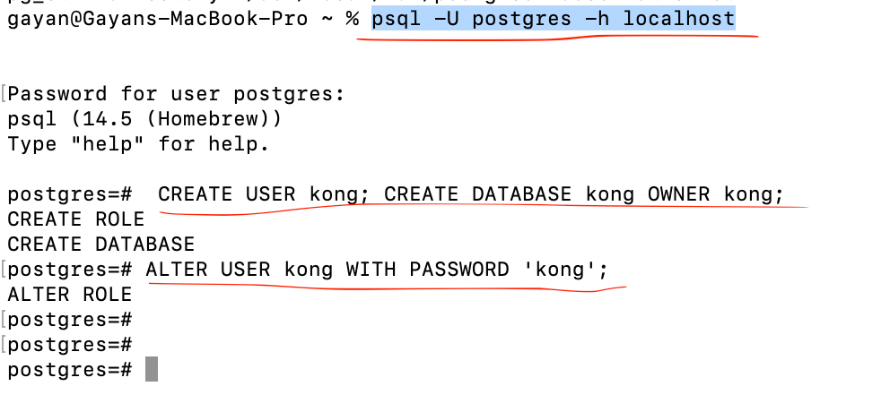 Setup Kong Gateway on MacOS. Kong Gateway required persistent… | by Gayan Madusanka | Medium