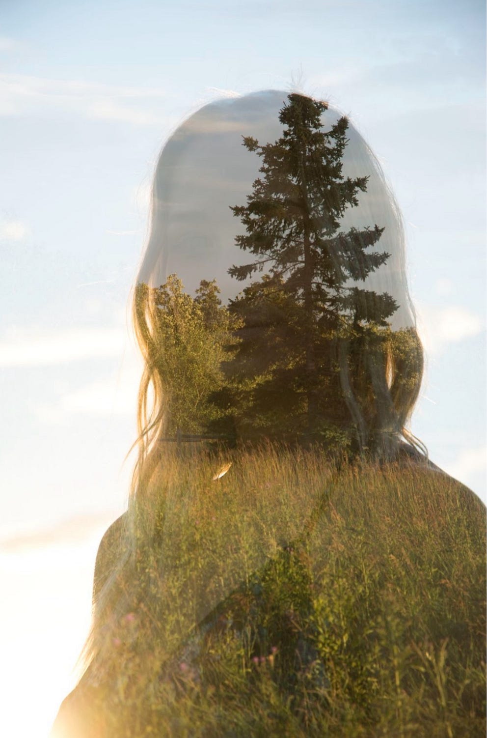 Reclaiming Ourselves: Moving from Disconnection to Trust | by Life with Lo | Oct, 2024 | Medium