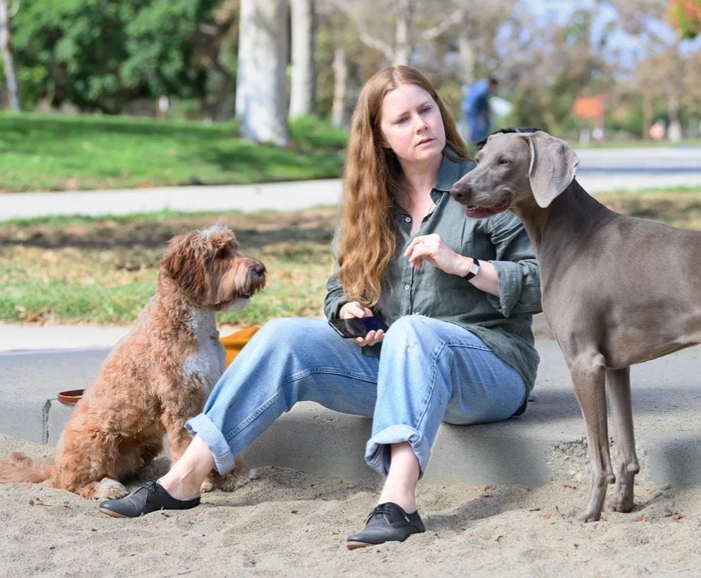 Stay-At-Home Mother Turns Into Dog | by Jenny Lim | The Parenting ...