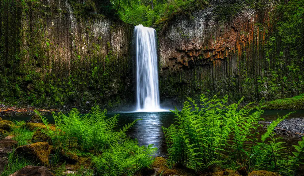 Top Three Photography Workshops That Makes You Fall For It | by Victor ...