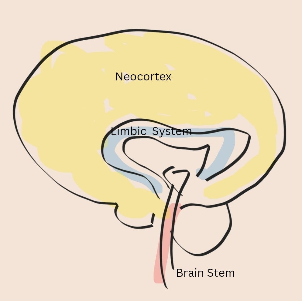 Brain Soup. Brain mushy mushy | by Dumdum Jain | Medium