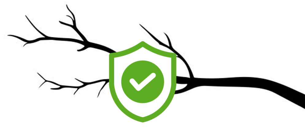 Building and Testing A Custom Status Check with a Github Actions ...