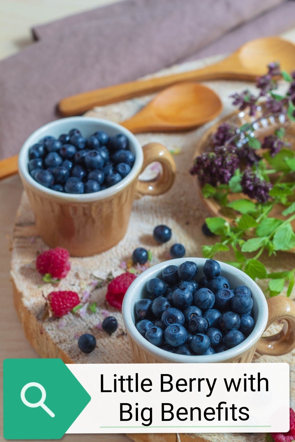 Blueberry: Little Berry with Big Benefits | by PinPrime | Medium