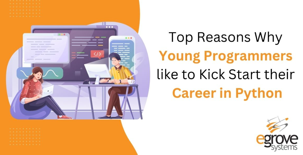 Top Reasons Why Young Programmers like to Kick-Start their Career in python? | by Digital ...