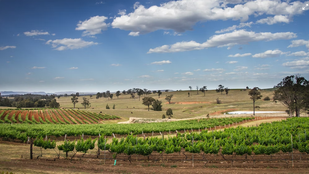 Enthralling Family Adventures in the Hunter Valley: Exciting Activities ...