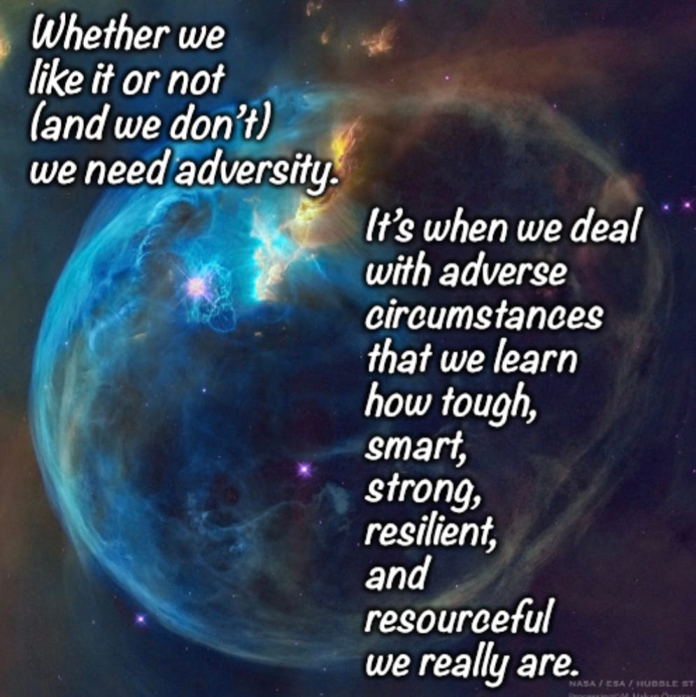 Whether We Like It Or Not and We Don t We Need Adversity It s When 