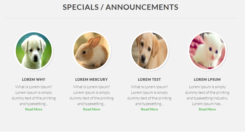 Display wordpress posts with owl carousel | by Zaheer Abbas | Medium