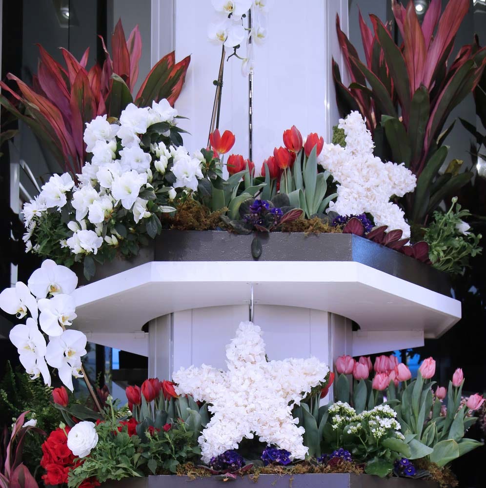 5 Must-See Spring Events in New York | by MTC Limousine | MTC Limousine ...