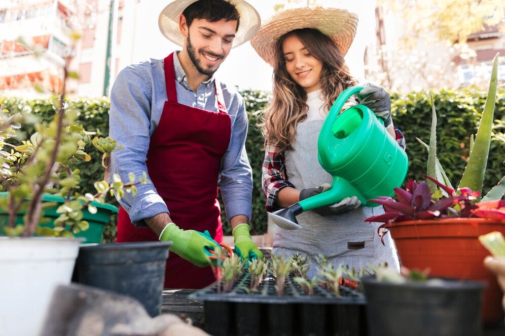 Gardening Workshops. Introduction | by Haifa Club | Jan, 2024 | Medium