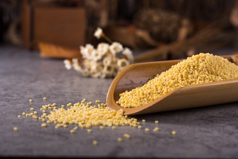 12 Amazing Proso millet benefits, recipes and more - shaannews - Medium