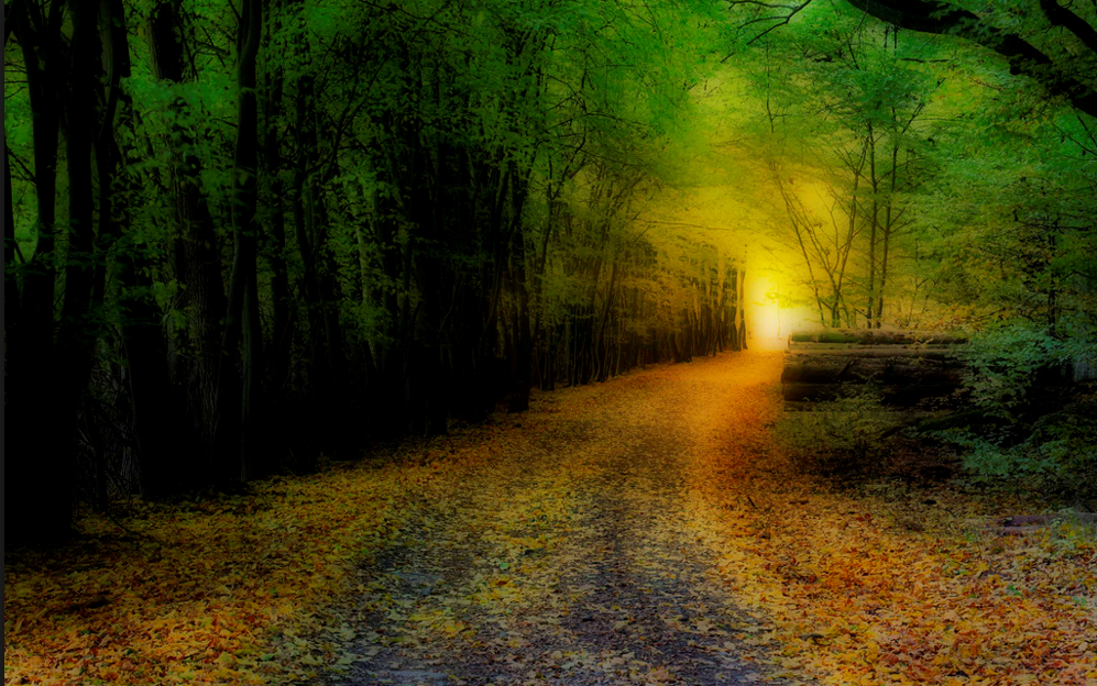 Greetings Fellow Travelers,. I have been on an eclectic path for… | by ...