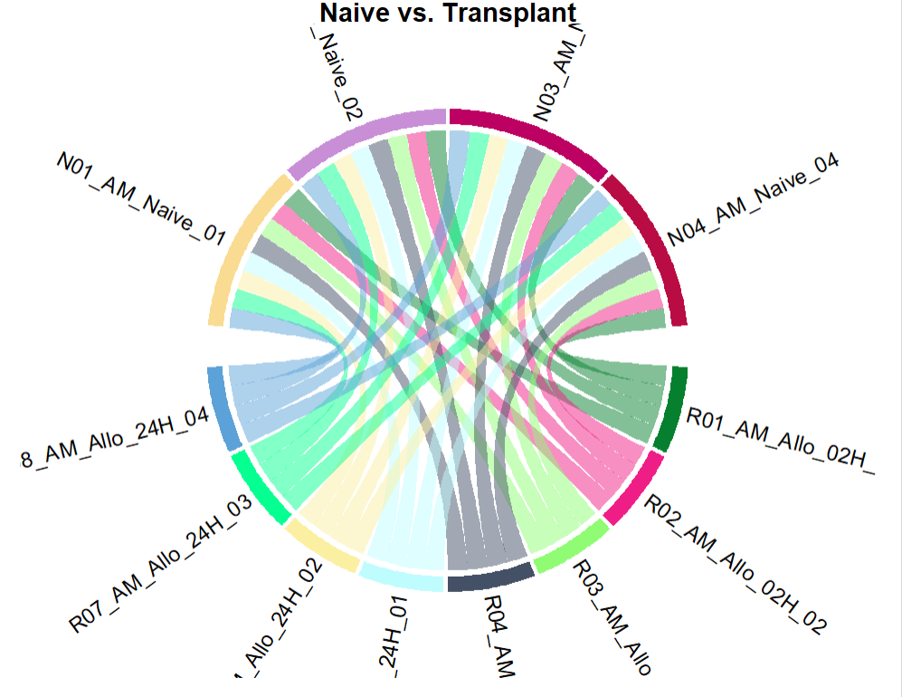 Visualizing correlation analysis results through a chord diagram using the Circlize package on R ...