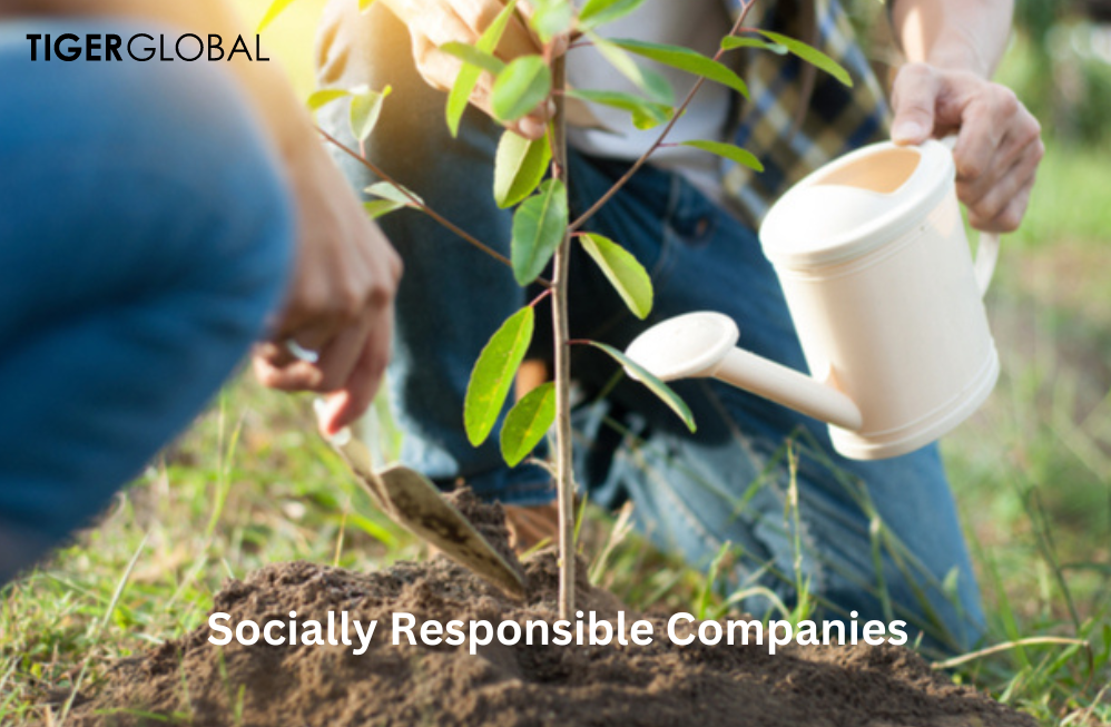 How Socially Responsible Companies Are Shaping Consumer Choices in the ...