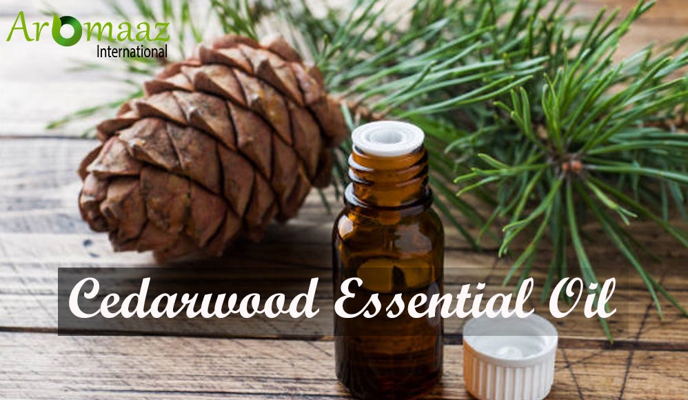 Cedarwood and Cardamom Essential Oils — Two Fascinating Fragrances ...