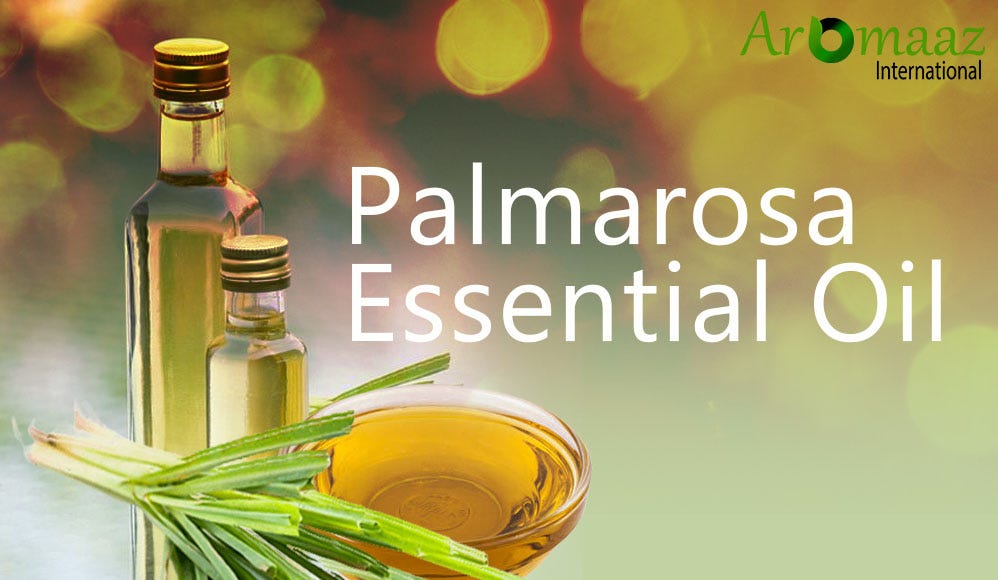 Palmarosa Essential Oil — An Oil with Aromas of Rose and Lemongrass ...