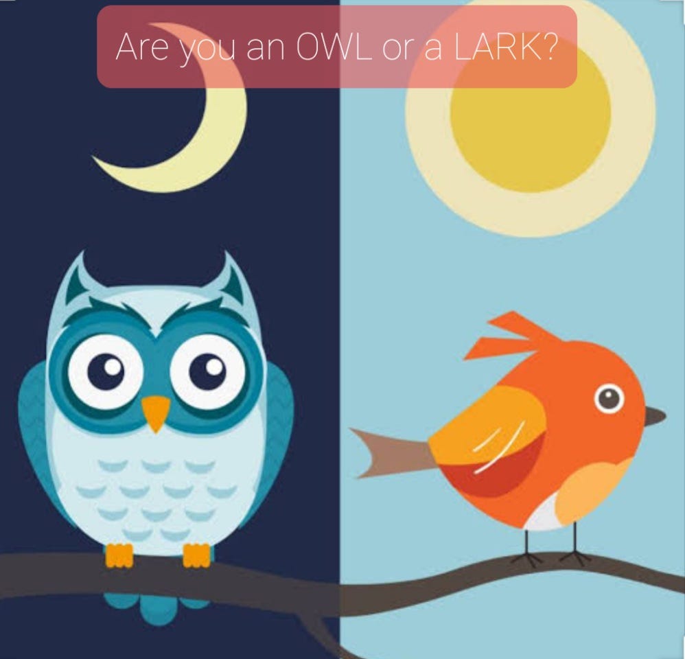 Are you a morning person or night person? Are you a "Lark" or an "Owl ...