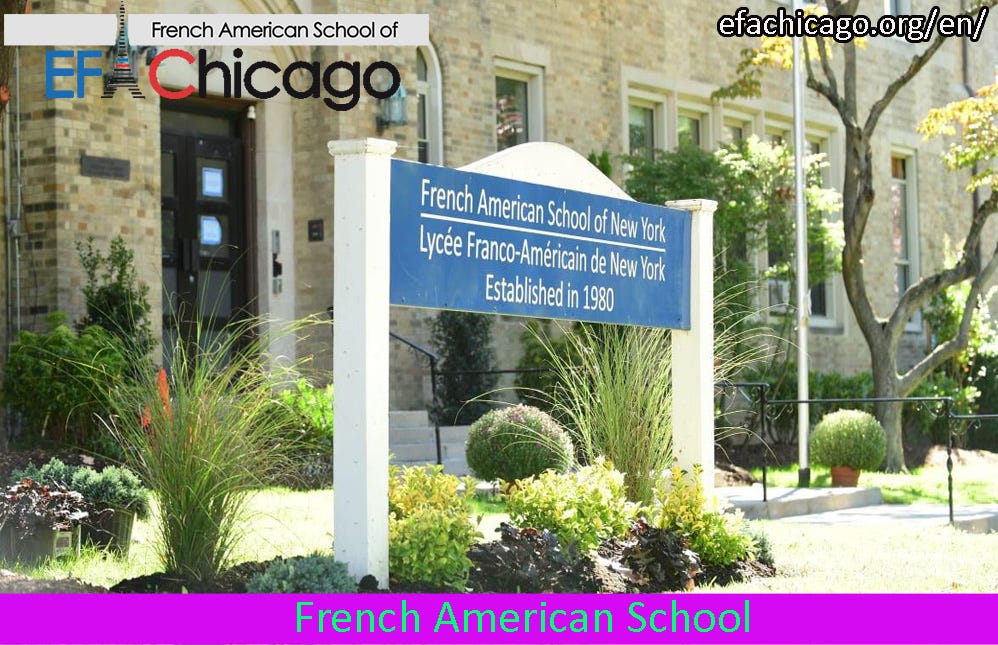 French Curriculum in Chicago — How to Choose the Right One for Your ...