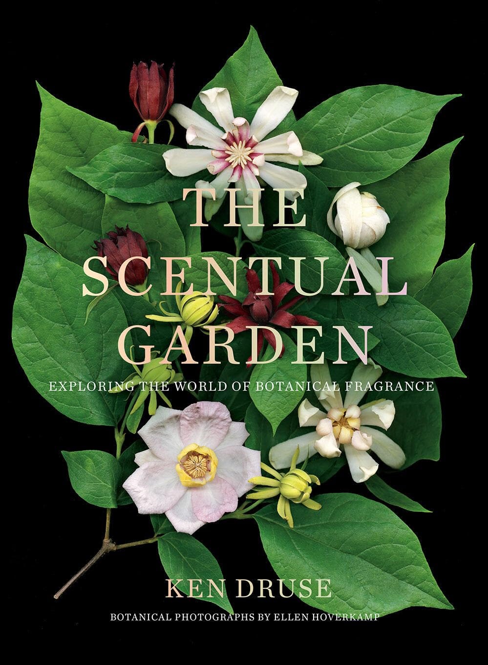 [EBOOK] The Scentual Garden: Exploring the World of Botanical Fragrance ...