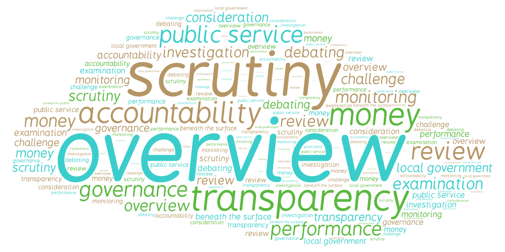 Boosting the profile of scrutiny. Scrutiny is not the most ‘sexy ...