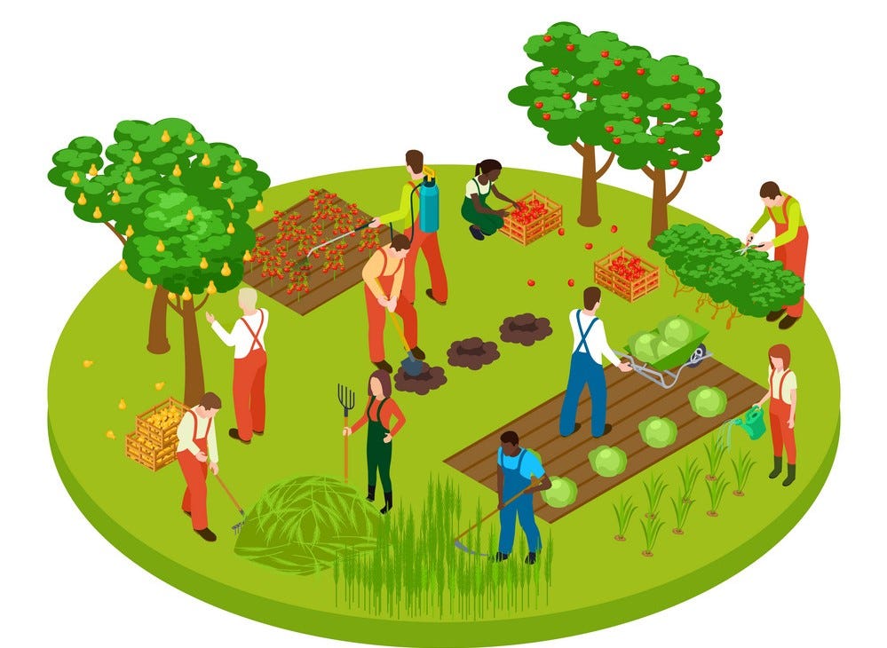 Alemany Farm: Apples and App Development | by Ryan Yu | Medium