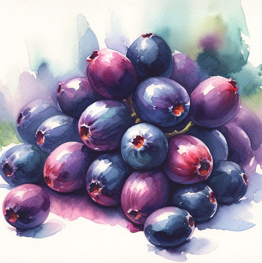 Exploring the Nutrient Powerhouse: The Açaí Berry | by Bulut Yaman | Medium