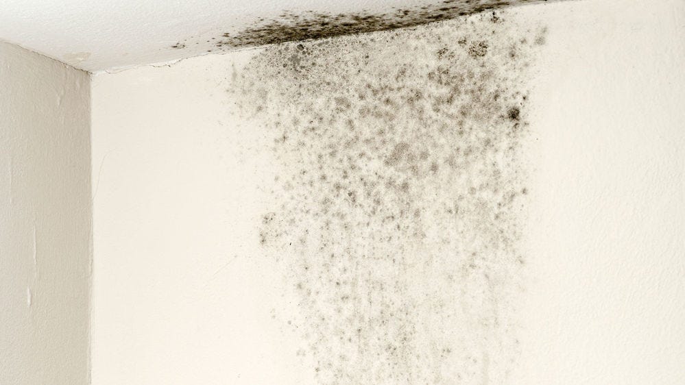 TOXIC HOMES, BROKEN PROMISES: Florida Military Families Sue Over ...