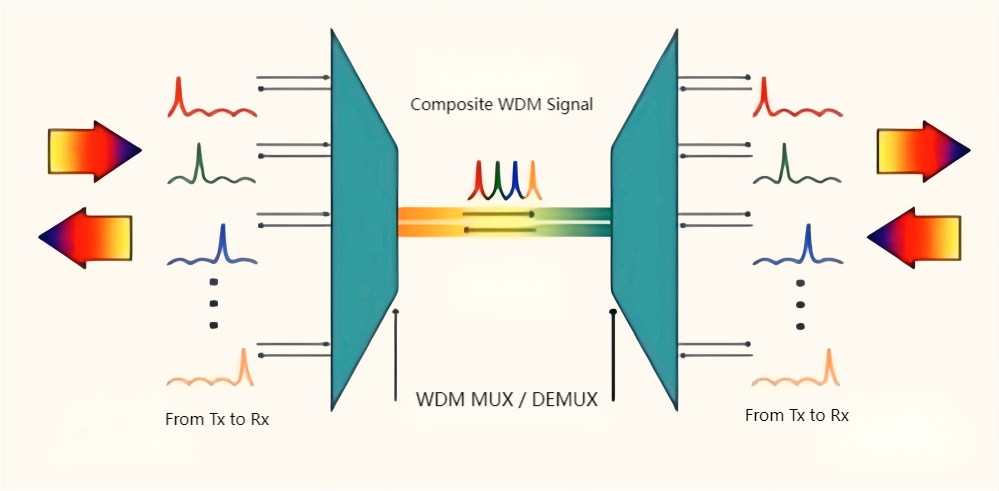 Difference Between CWDM and DWDM. Wavelength division multiplexing (WDM)… | by Judy Ren HTFuture ...