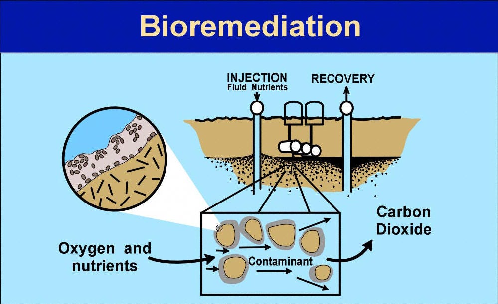 Bioremediation Before And After