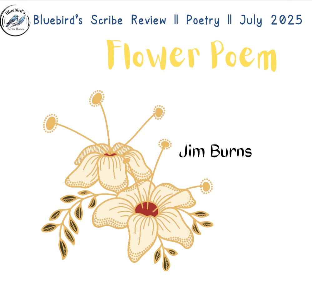 FLOWER POEM // POETRY // JIM BURNS - Bluebird’s Scribe Review - Medium